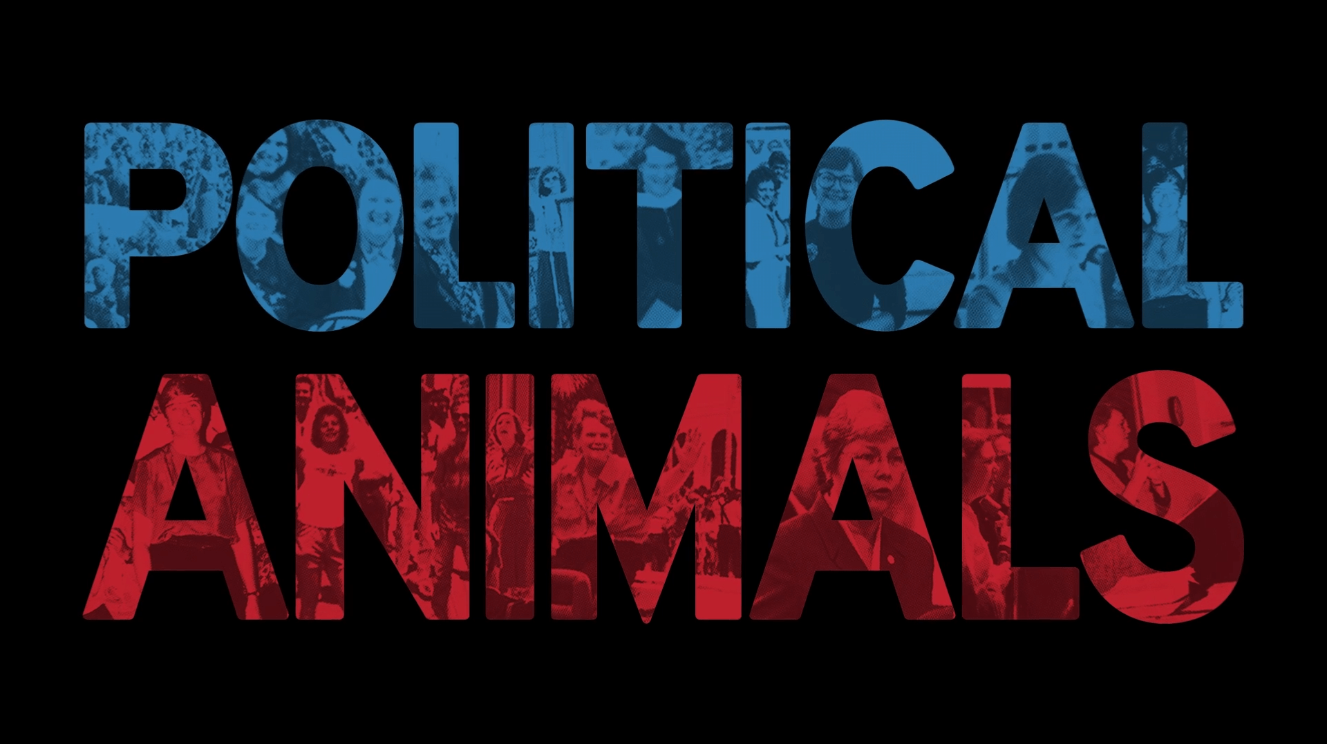 CASE STUDY: The Making of 'Political Animals' - Film Independent