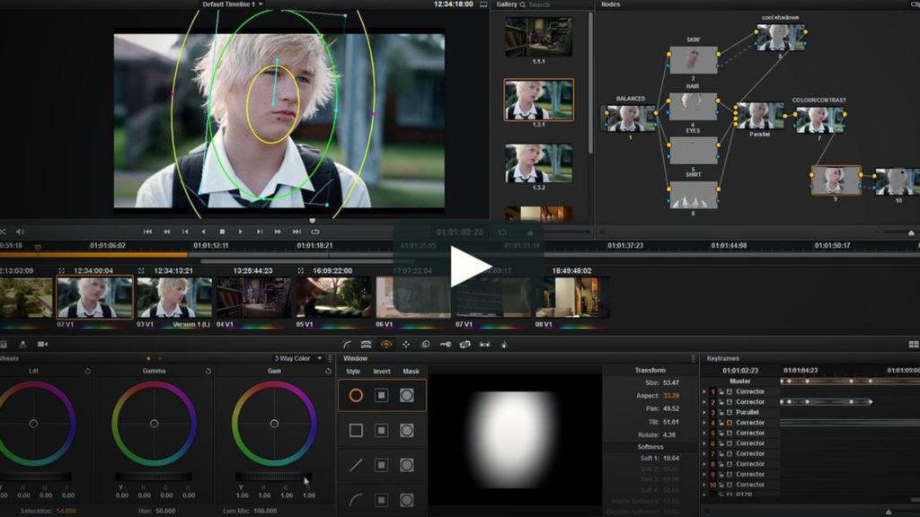 A Filmmaker’s Guide to Navigating the Digital Intermediary Process ...