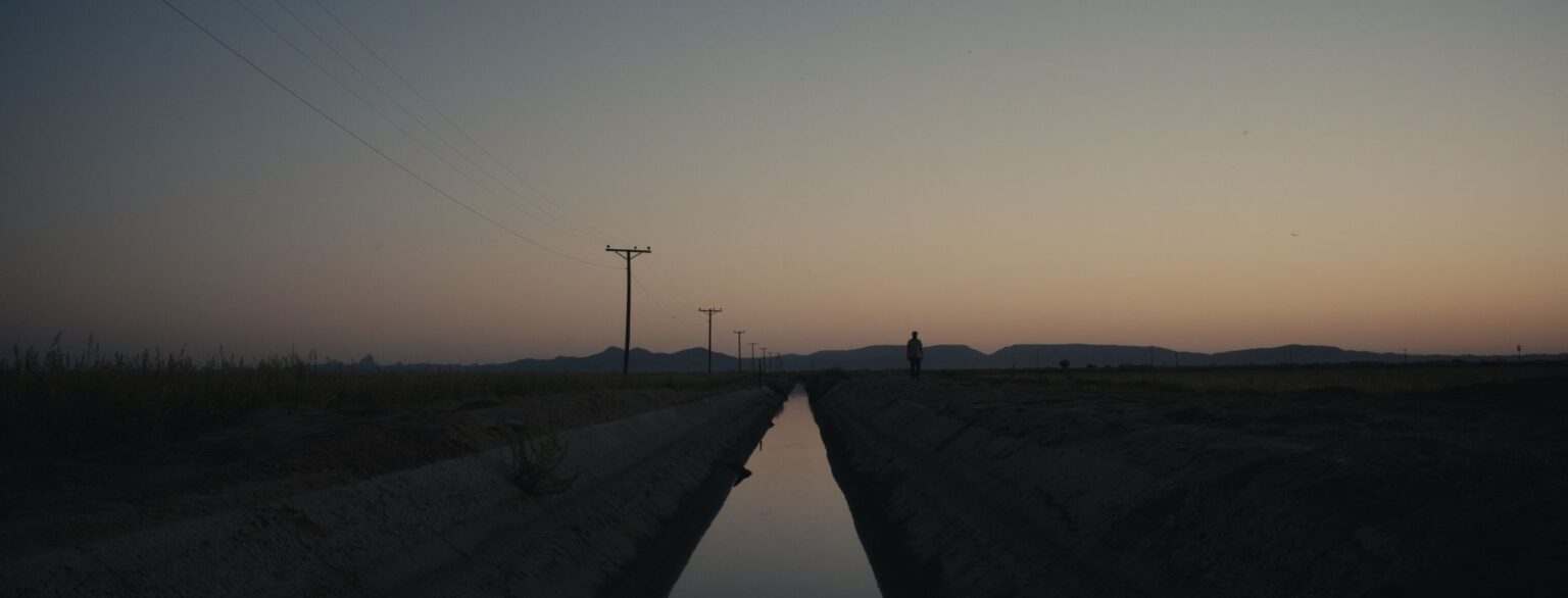 Backyard/Desert - Film Independent