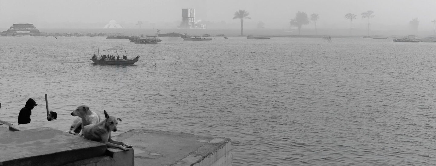 Even a Dog in Babylon - Film Independent